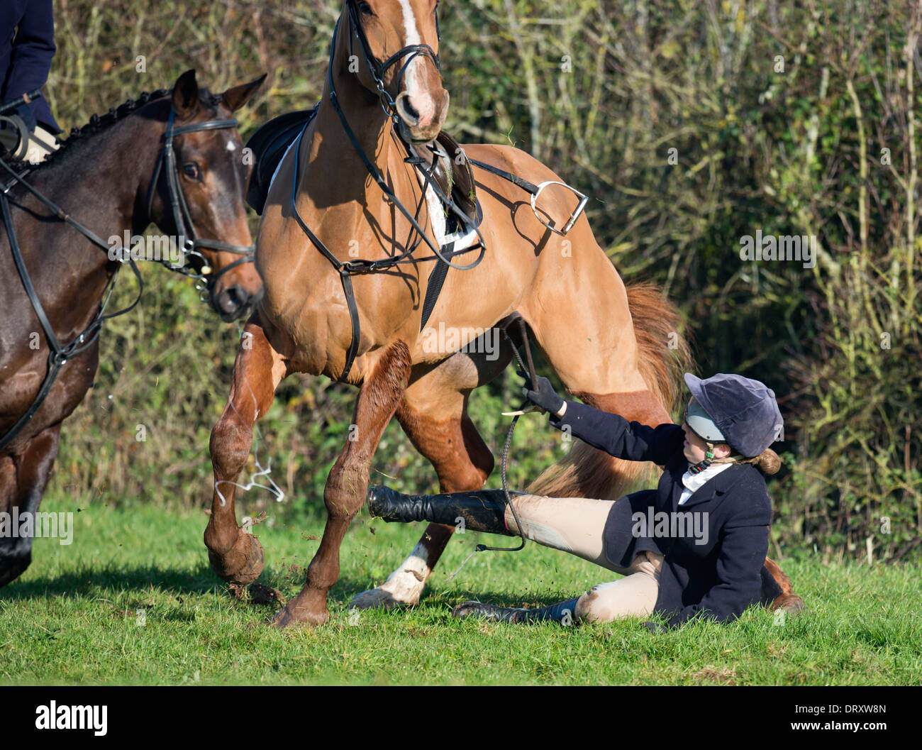 A female horse rider following the Berkeley Hunt falls after jumping a ...
