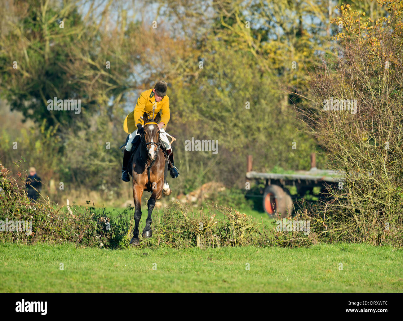 A Huntsman with the Berkeley Hunt jumps a hedge during a November ...