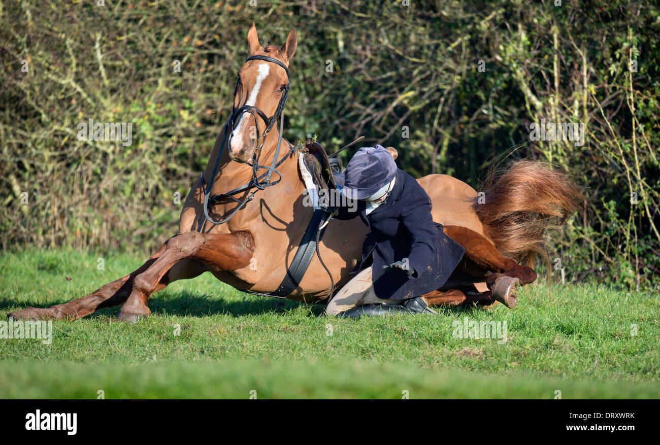 A female horse rider following the Berkeley Hunt falls after jumping a ...
