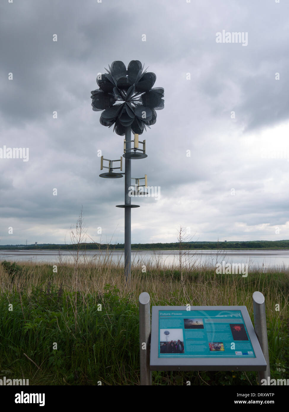 Future Flower sculpture on the river Mersey Stock Photo - Alamy