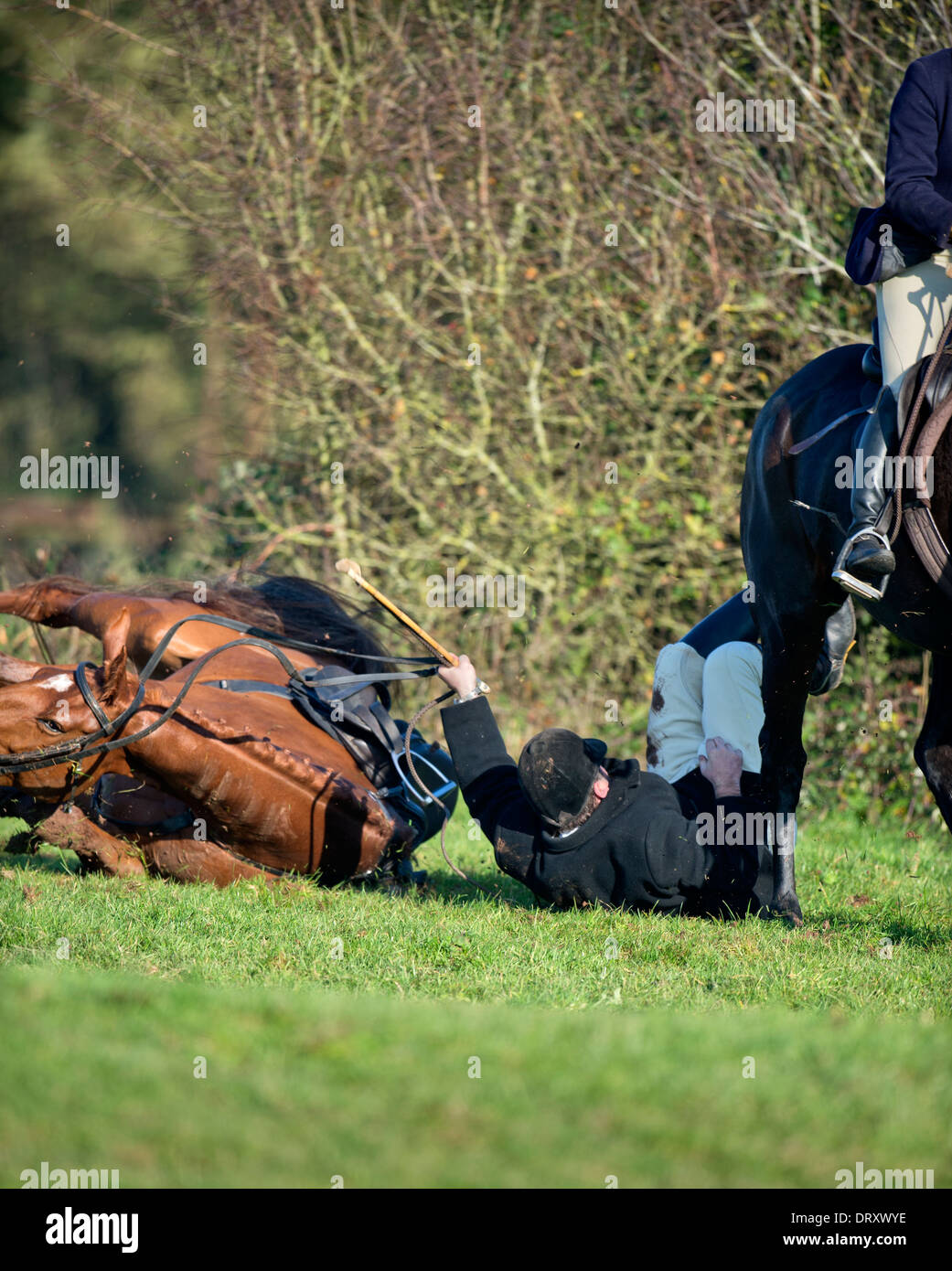 Horse rider falling hi-res stock photography and images - Alamy