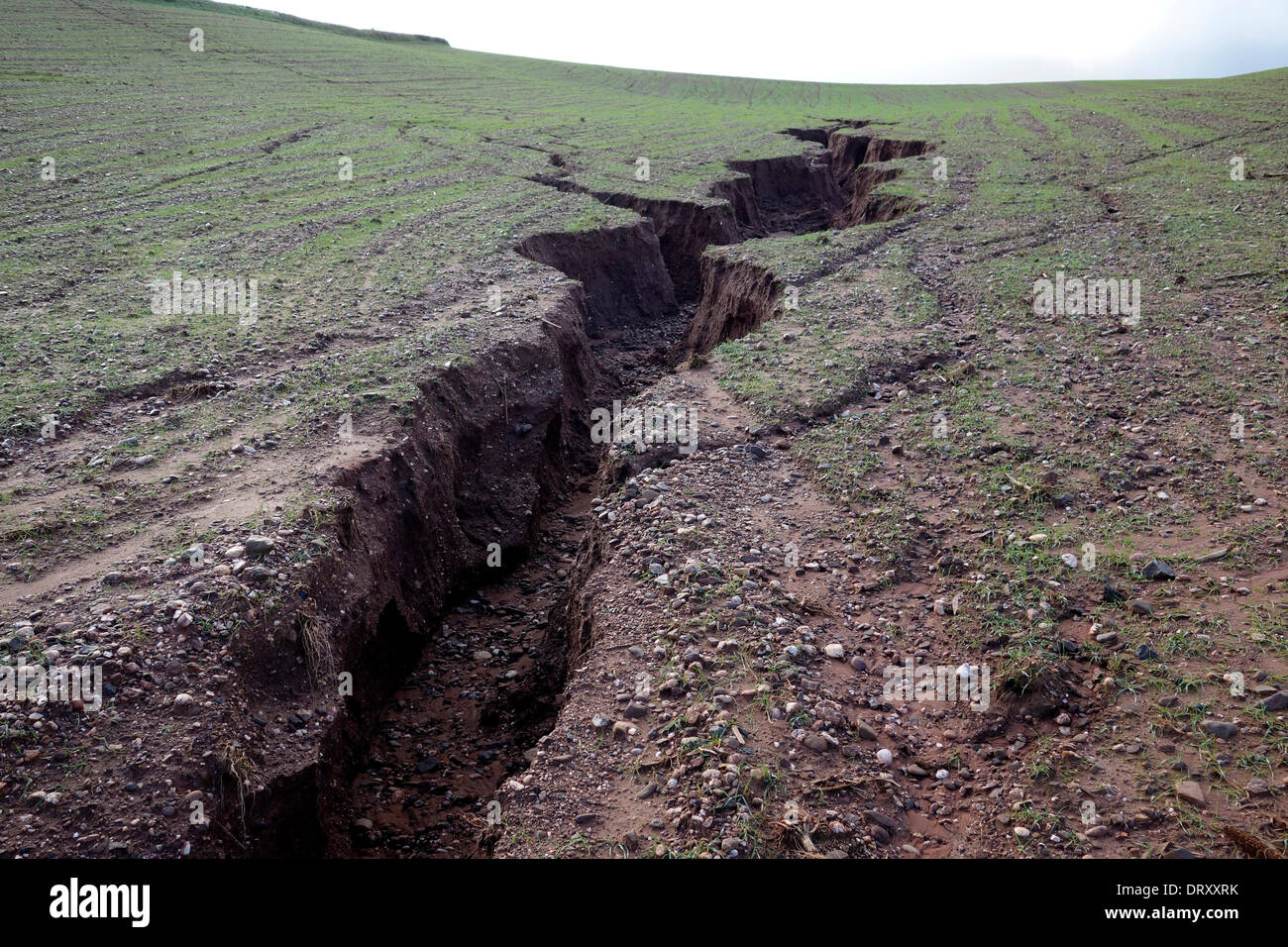 farmland in east Devon UK near Sampford Peverell - steep ground with ...