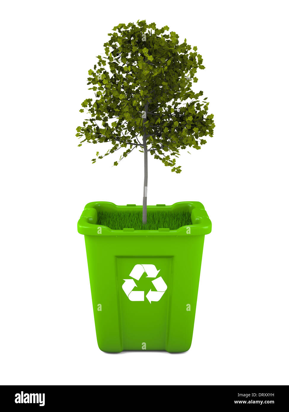 Paper recycling concept with Italian Maple tree growing from green ...