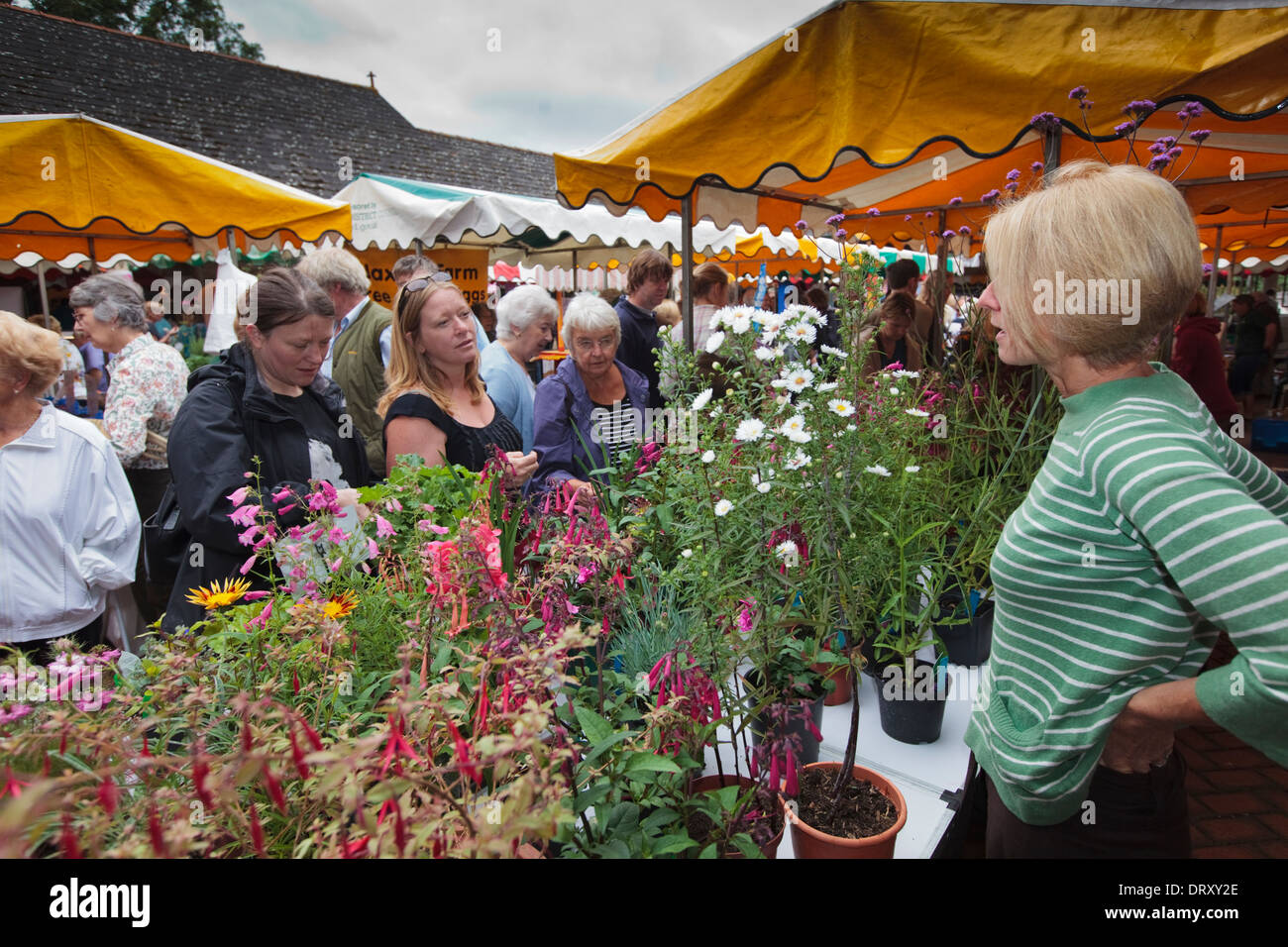 Stroud Farmers' Market, Gloucestershire UK Stock Photo - Alamy