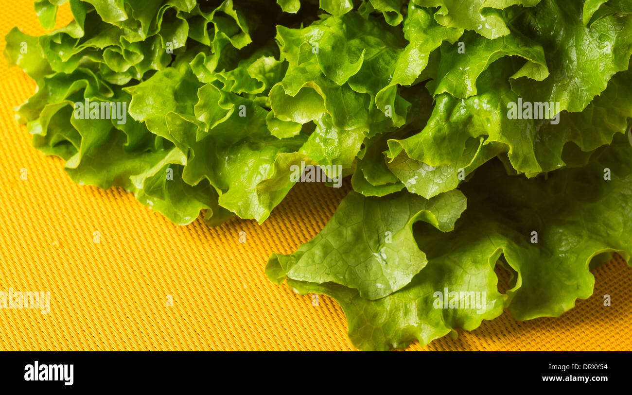 Kitchen leaf lettuce hi-res stock photography and images - Alamy