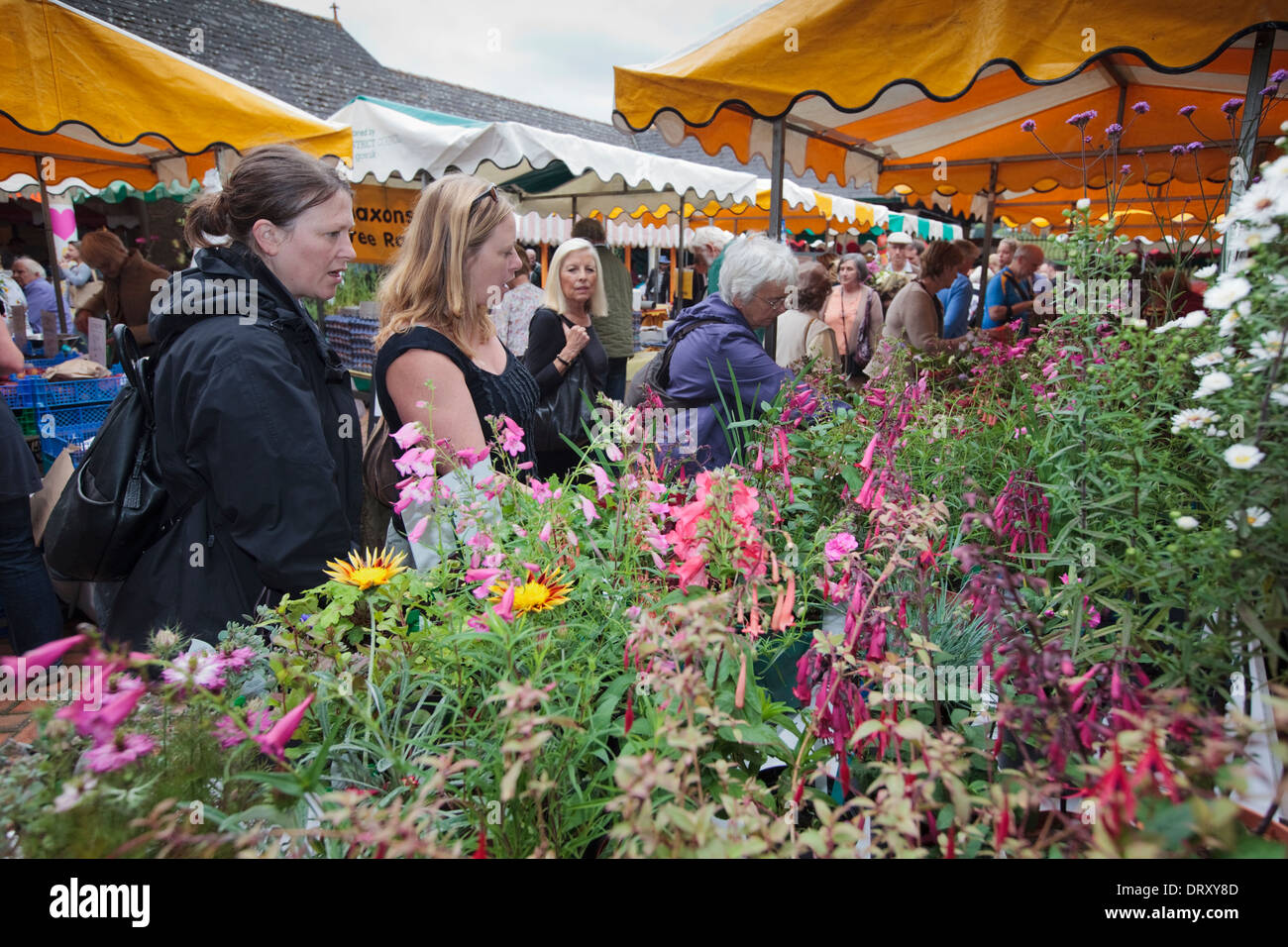 Stroud Farmers' Market, Gloucestershire UK Stock Photo - Alamy
