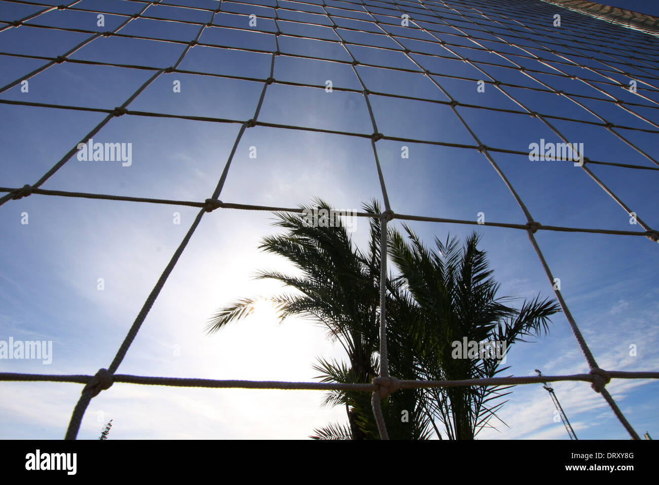 Tropical football ambience with palm tree and net Stock Photo - Alamy