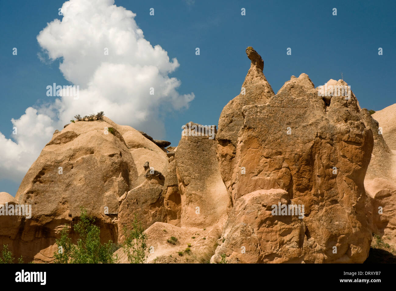ASIA, Turkey, Cappadocia, Urgup (Űrgűp), typical Cappadocian scenery ...