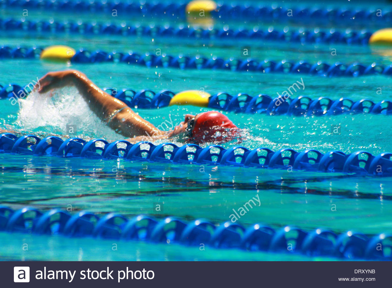 Backstroke Swimmer Stock Photos & Backstroke Swimmer Stock Images - Alamy