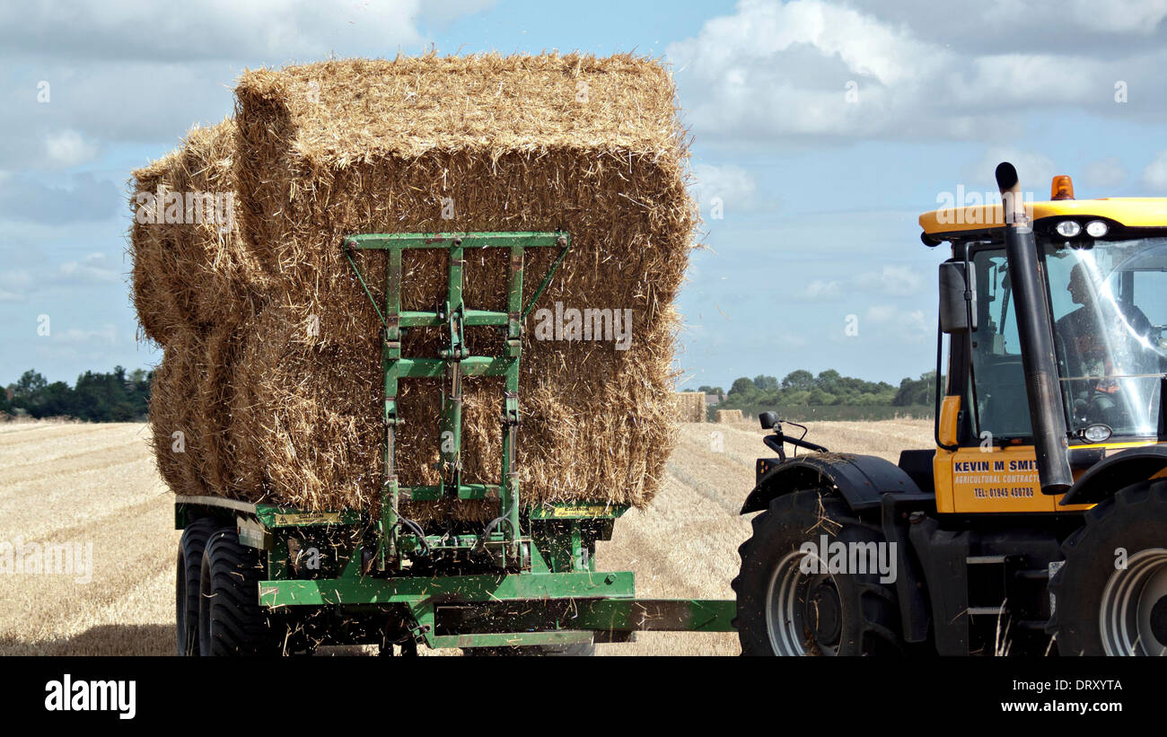 Jcb fast tractor hi-res stock photography and images - Alamy