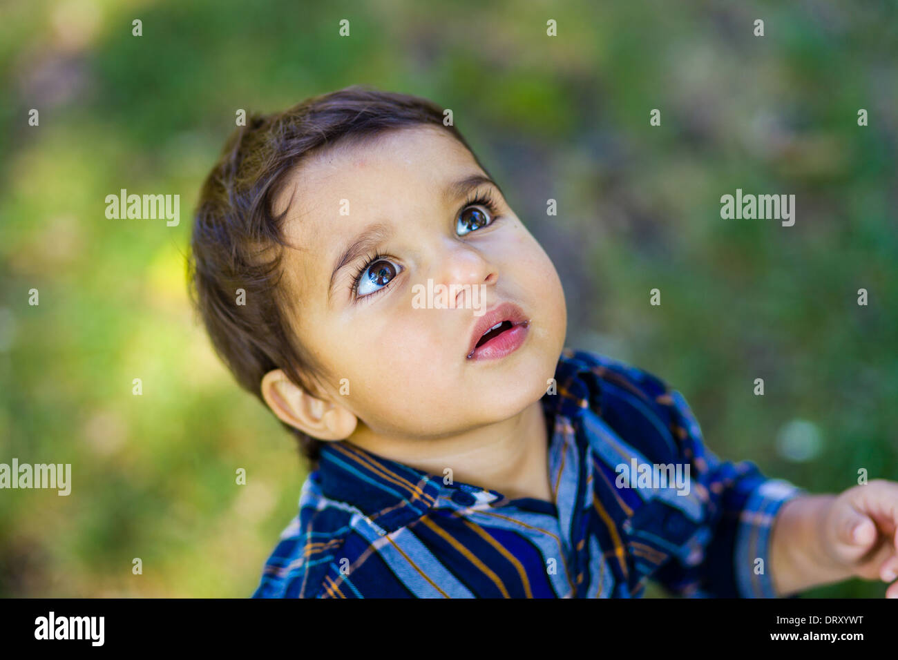 Young boy looking up with a sense of wonder expression Stock Photo - Alamy