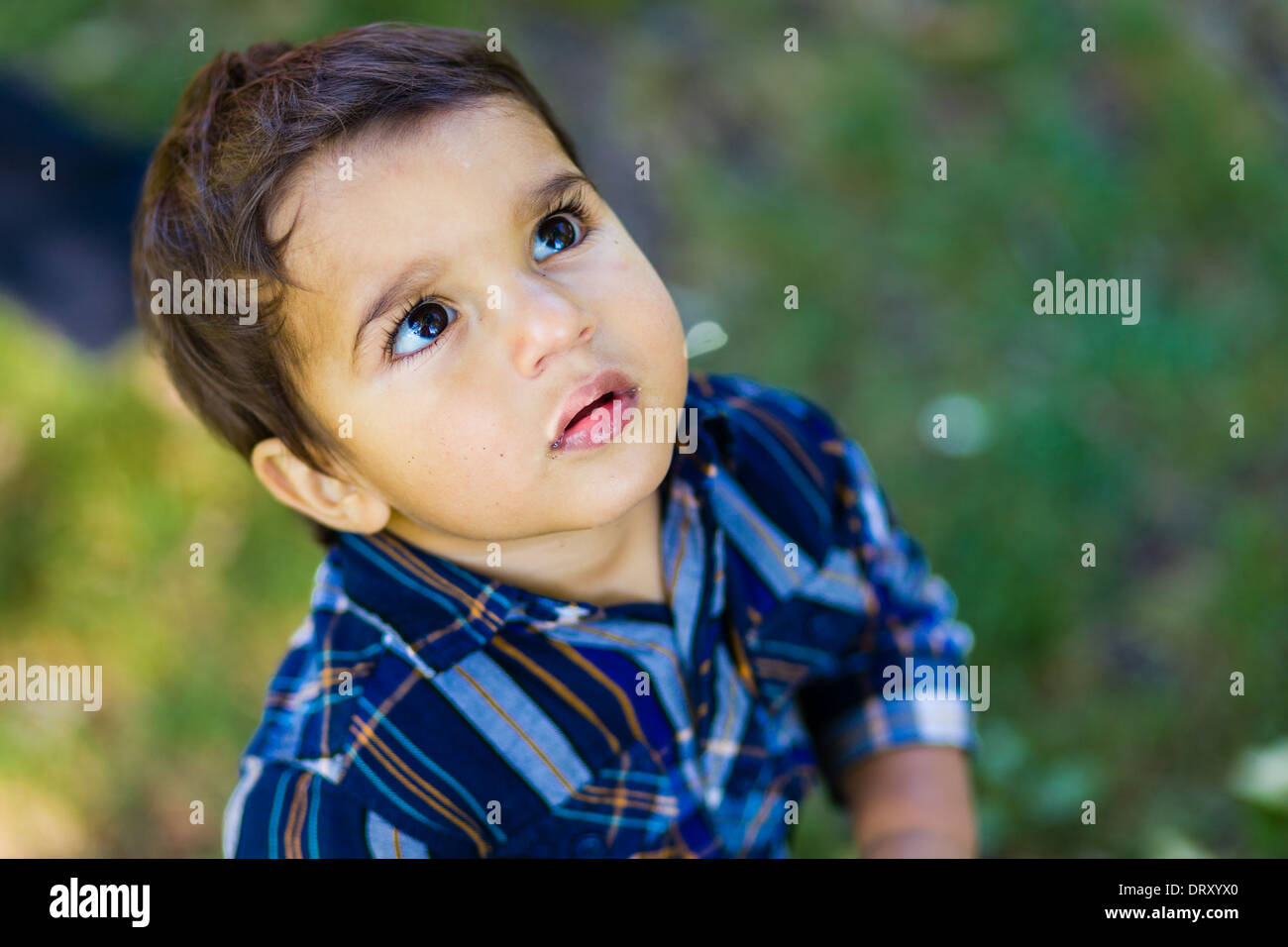 Young boy looking up with a sense of wonder expression Stock Photo - Alamy