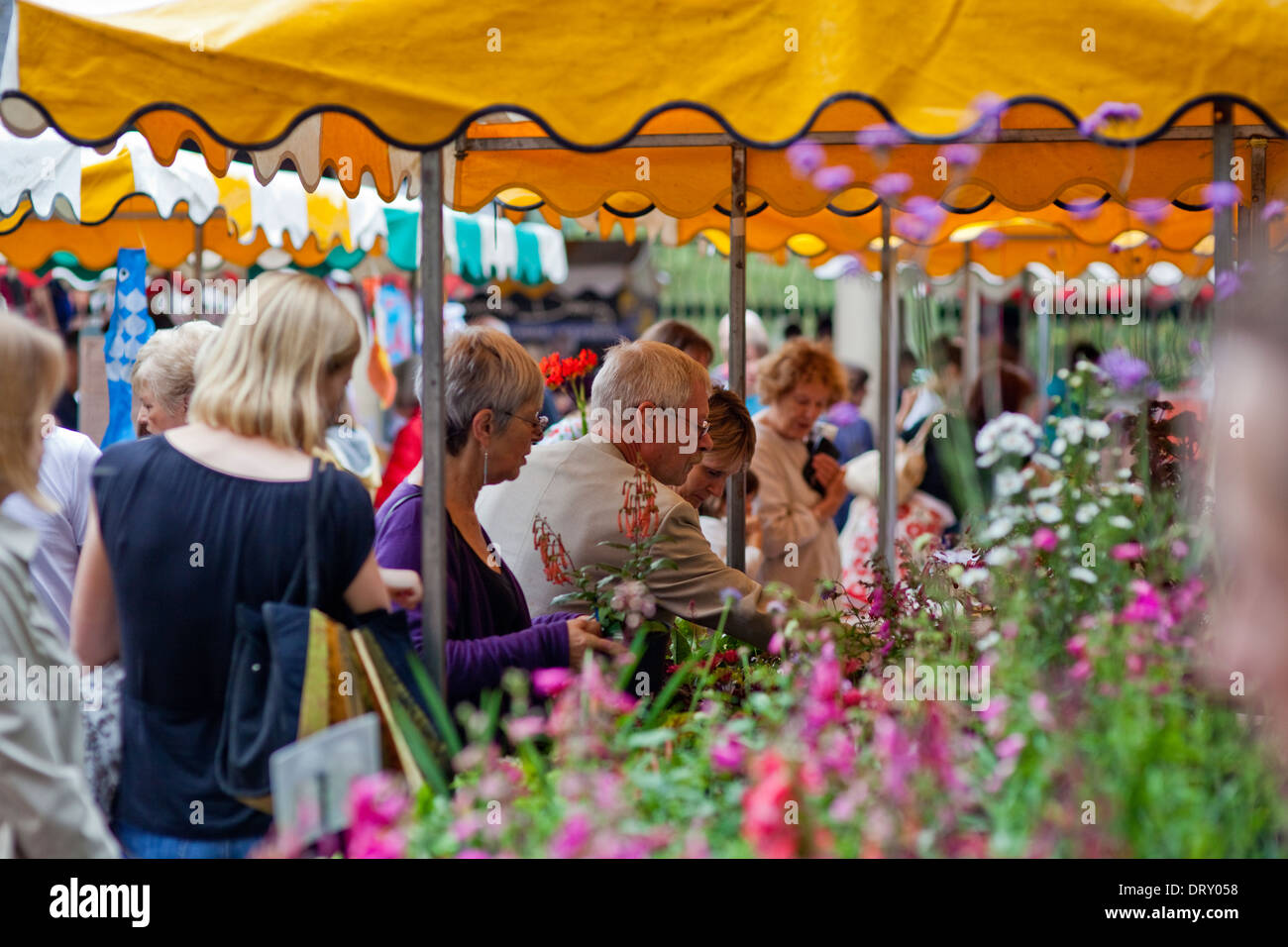 Stroud Farmers' Market, Gloucestershire UK Stock Photo - Alamy
