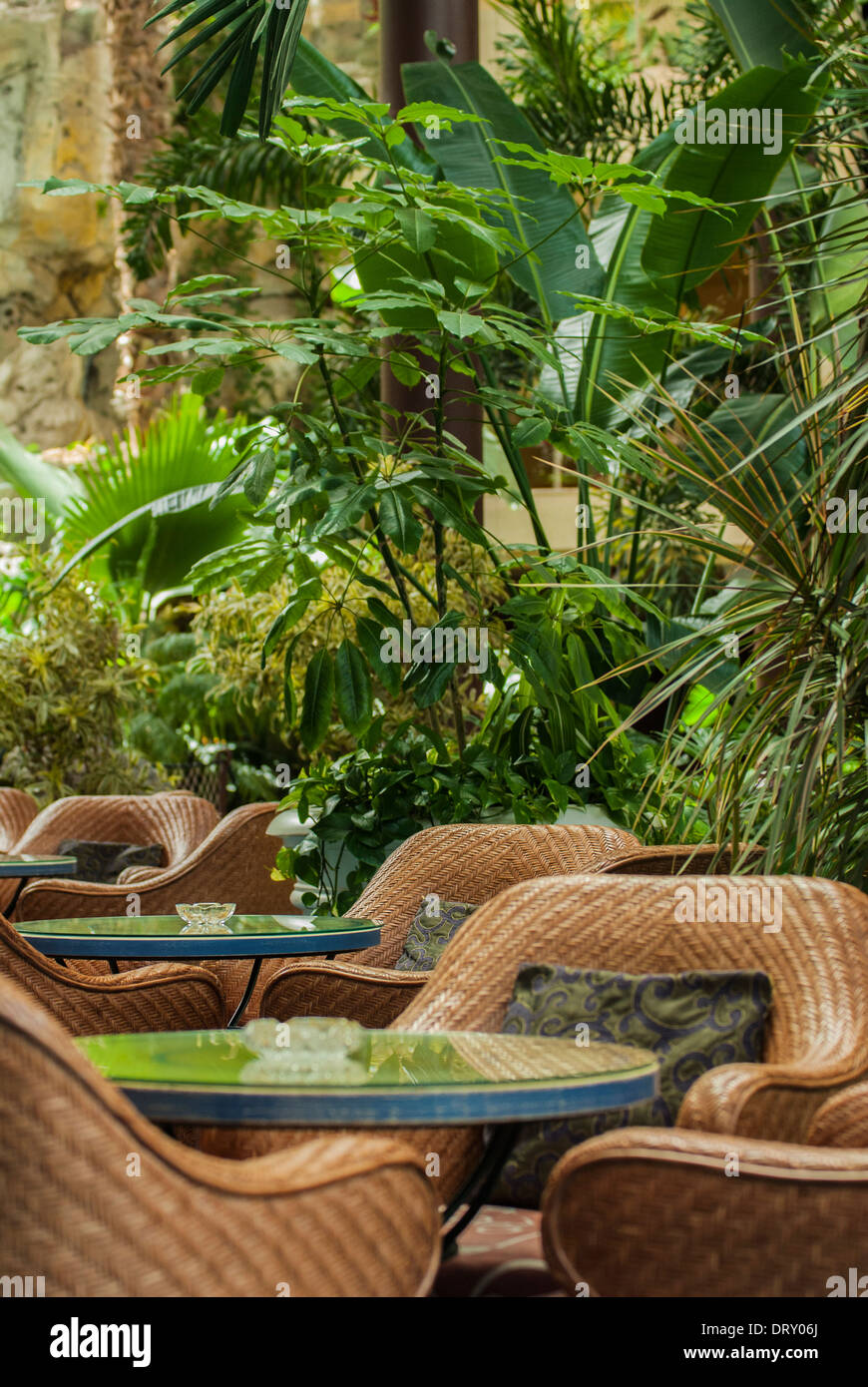 Cafe seating area Stock Photo - Alamy