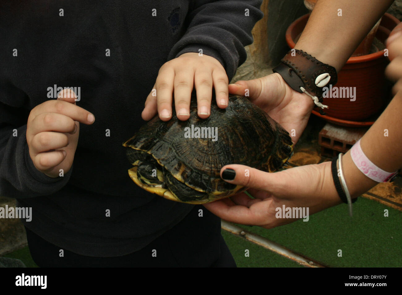 Turtle child caring hi-res stock photography and images - Alamy