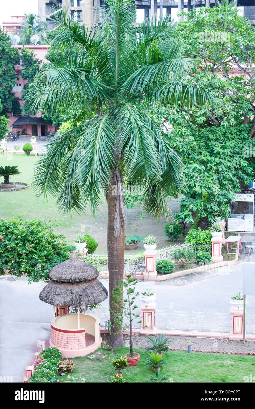 Tropical climate of india hi-res stock photography and images - Alamy