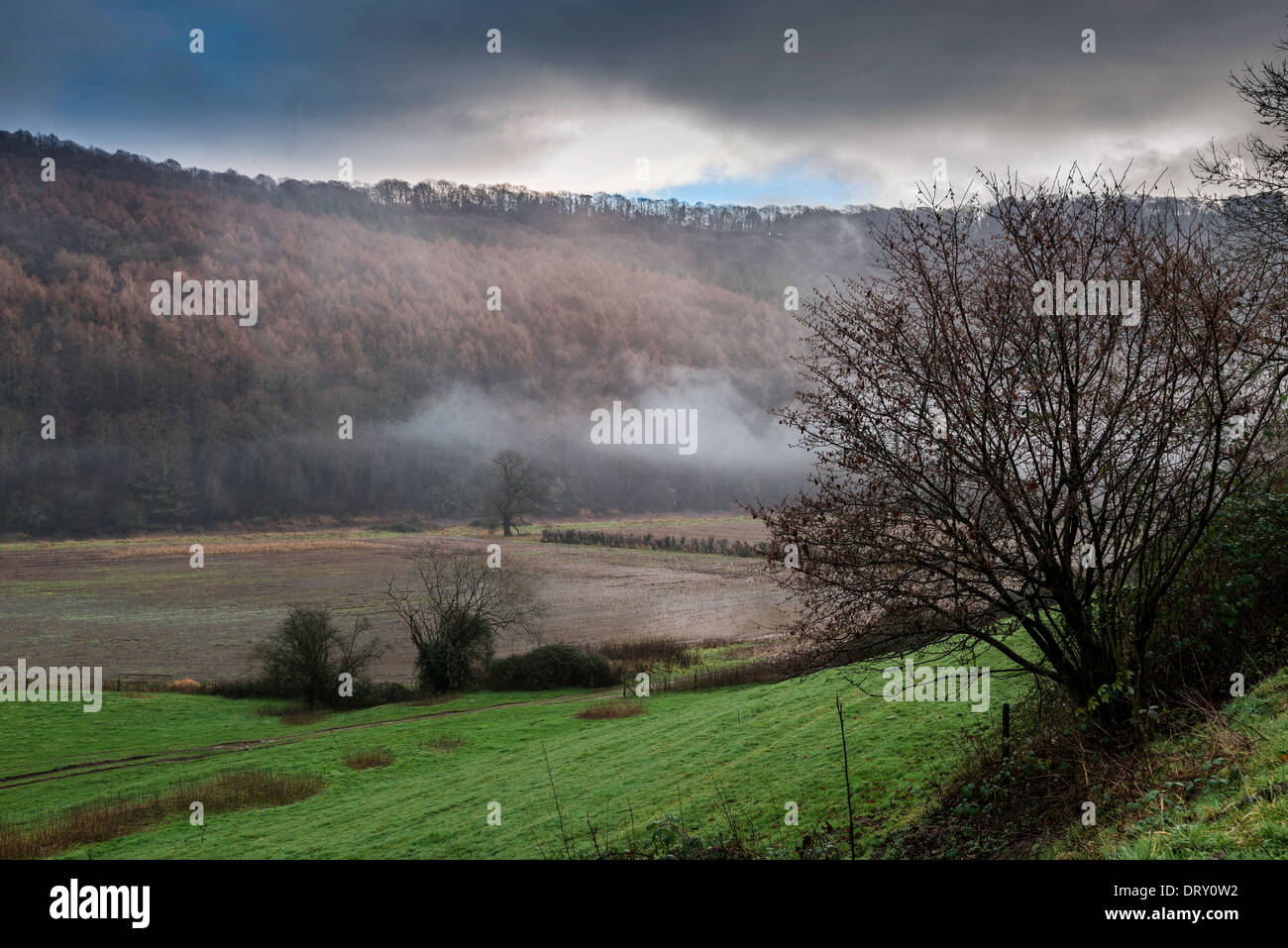 Mist river hi-res stock photography and images - Alamy
