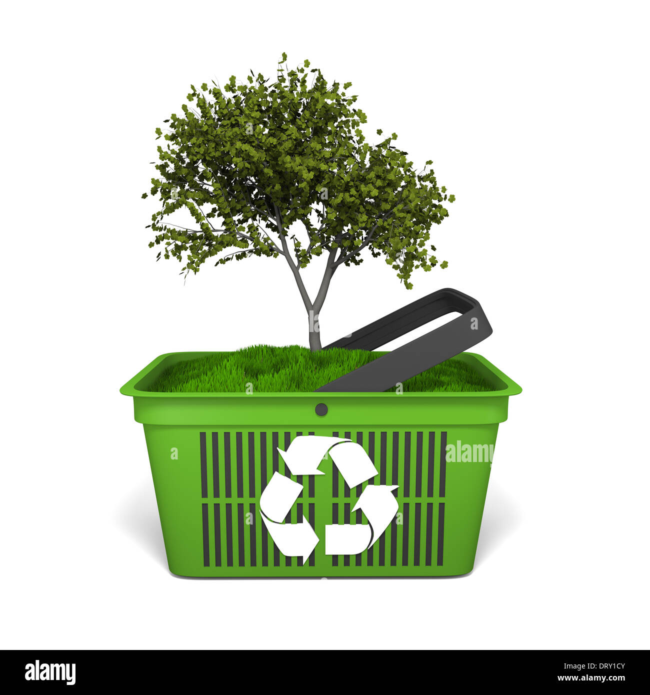 Recycling concept with small tree growing in green shopping basket with ...