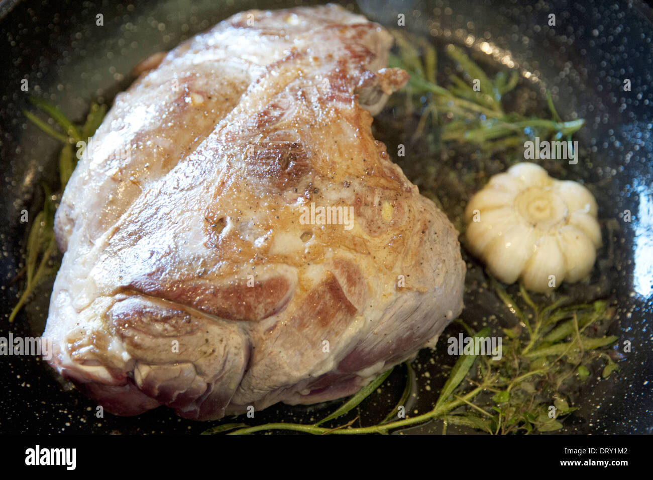 Lamb ro hi-res stock photography and images - Alamy