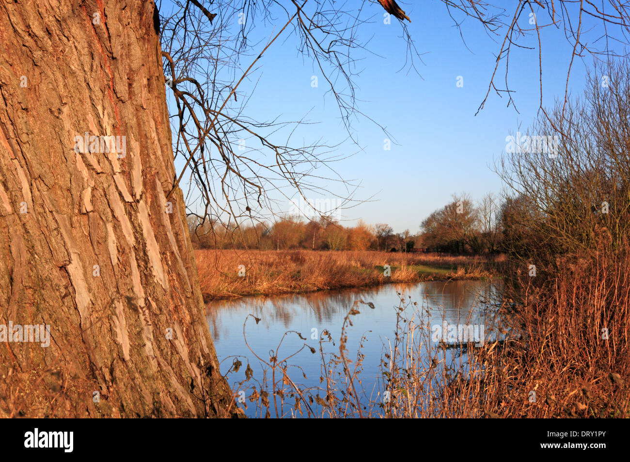 A view of the River Wensum in winter sun at Hellesdon, Norfolk, England ...
