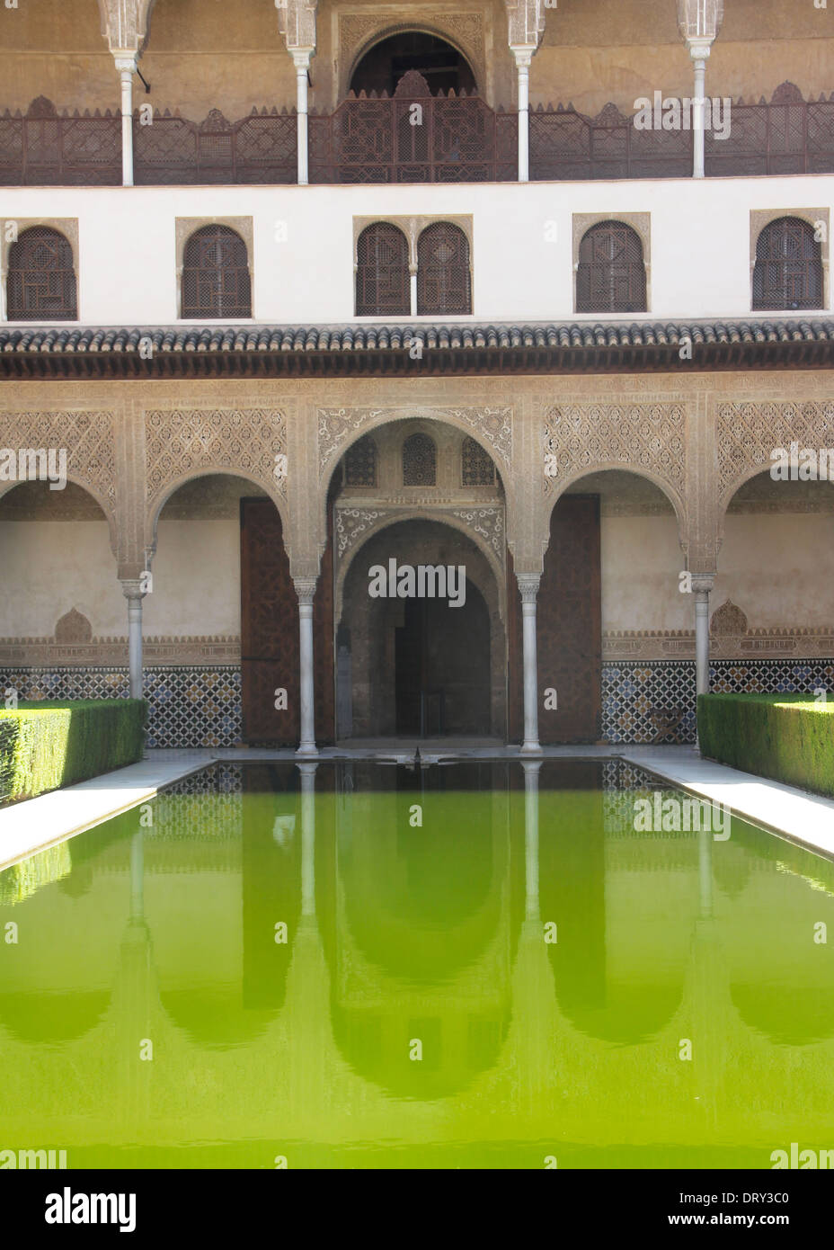 Alhambra palace and its reflection in green pond Stock Photo - Alamy