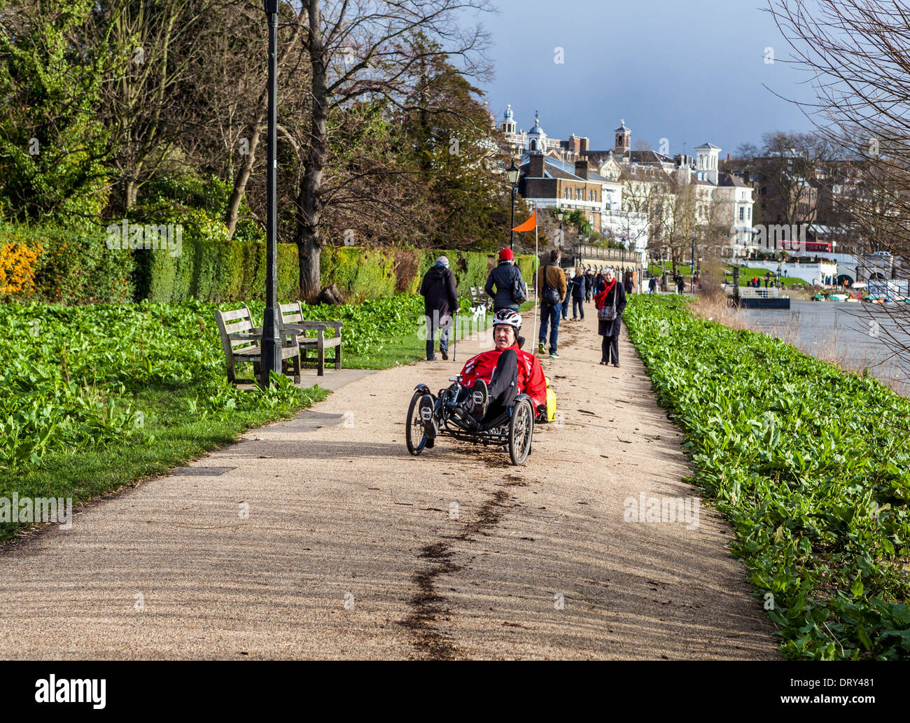 Cyclist on horizontal cycle cycling on towpath next to river Thames ...