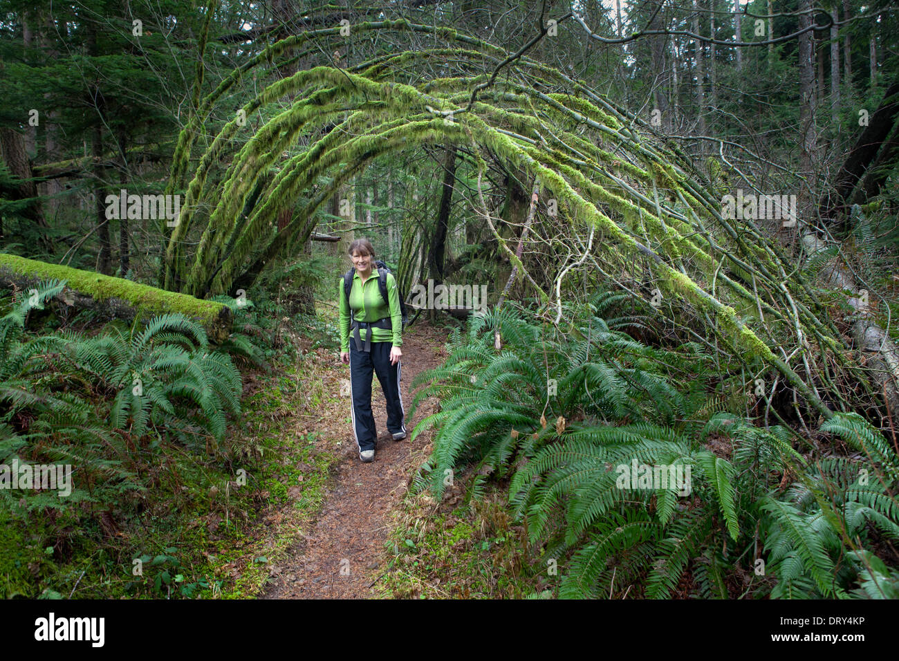 Issaquah alps hi-res stock photography and images - Alamy