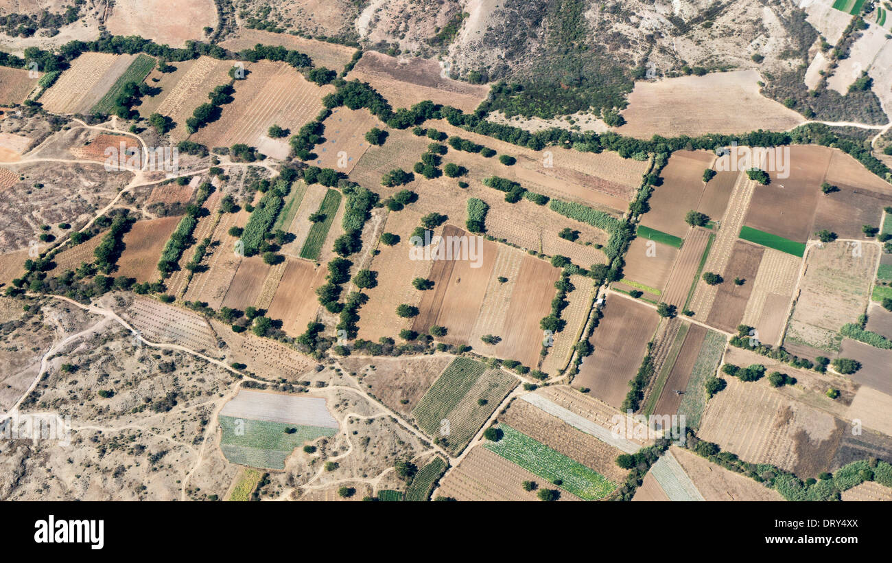 aerial view patterns of cultivation field fields with growing crops or ...