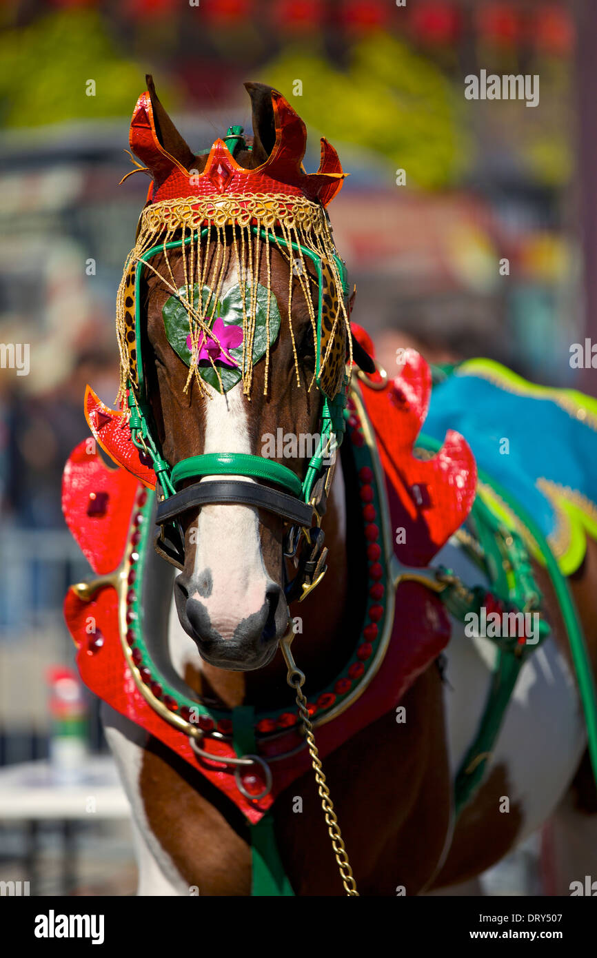 Chinese New Year Horse Decorations