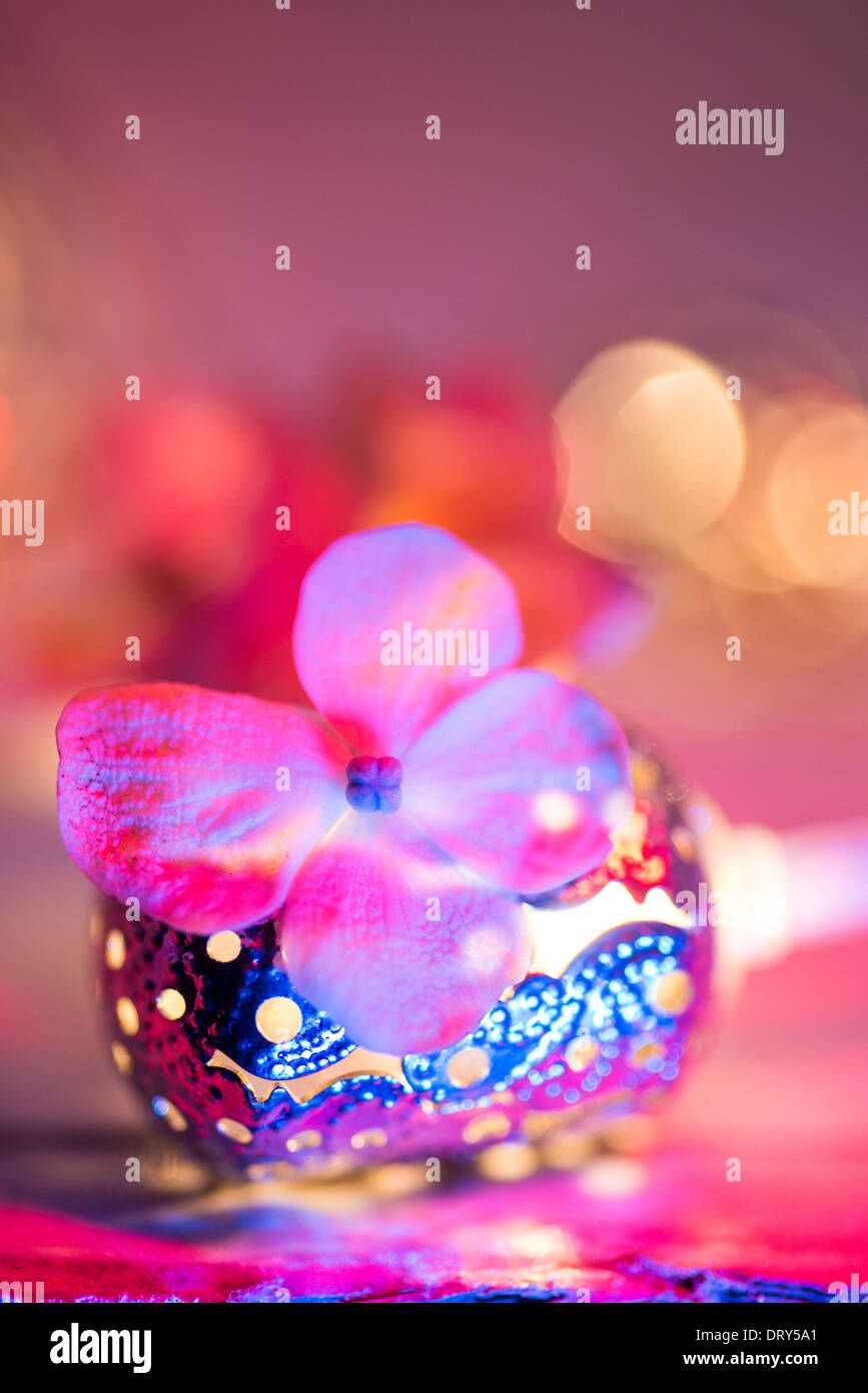 Pretty flower and colorful lights Stock Photo - Alamy