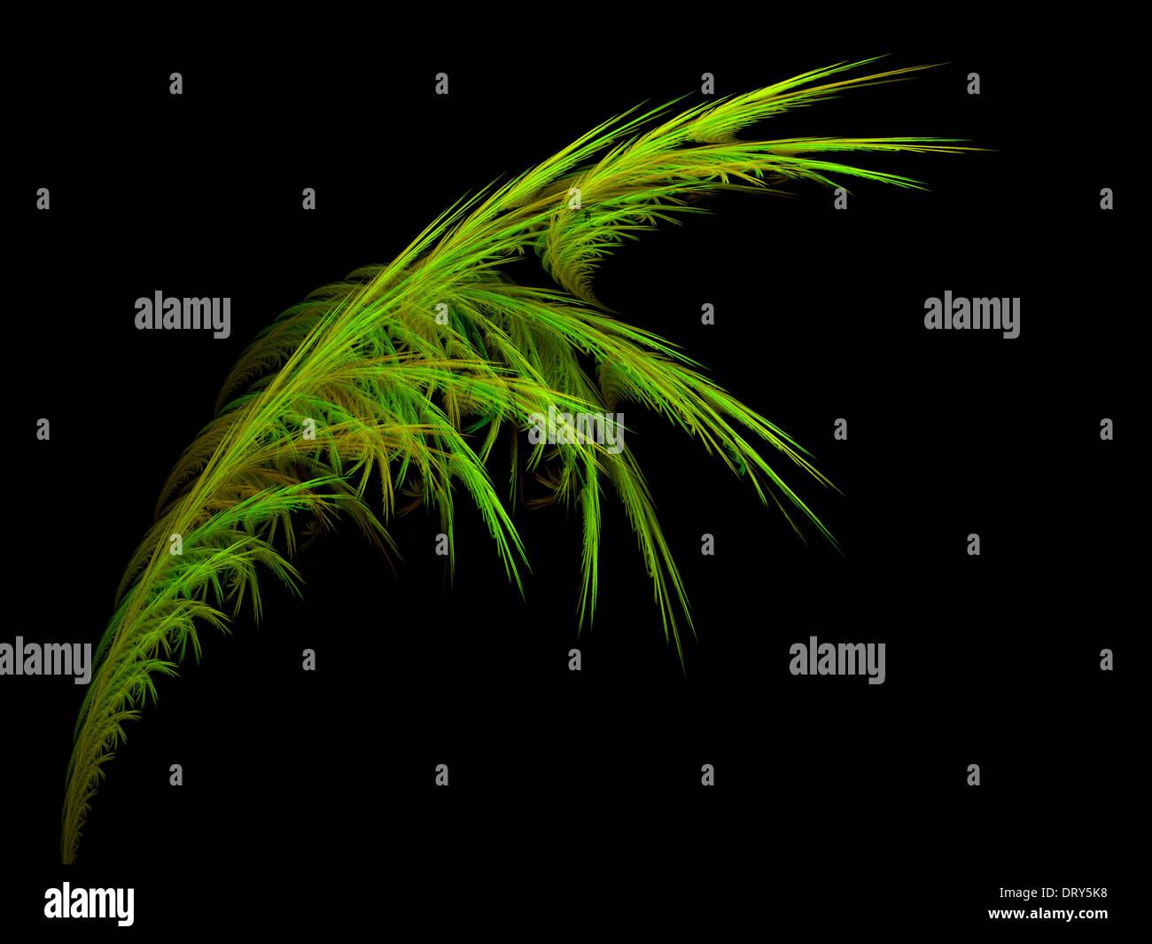 3d digital render green fern hi-res stock photography and images - Alamy