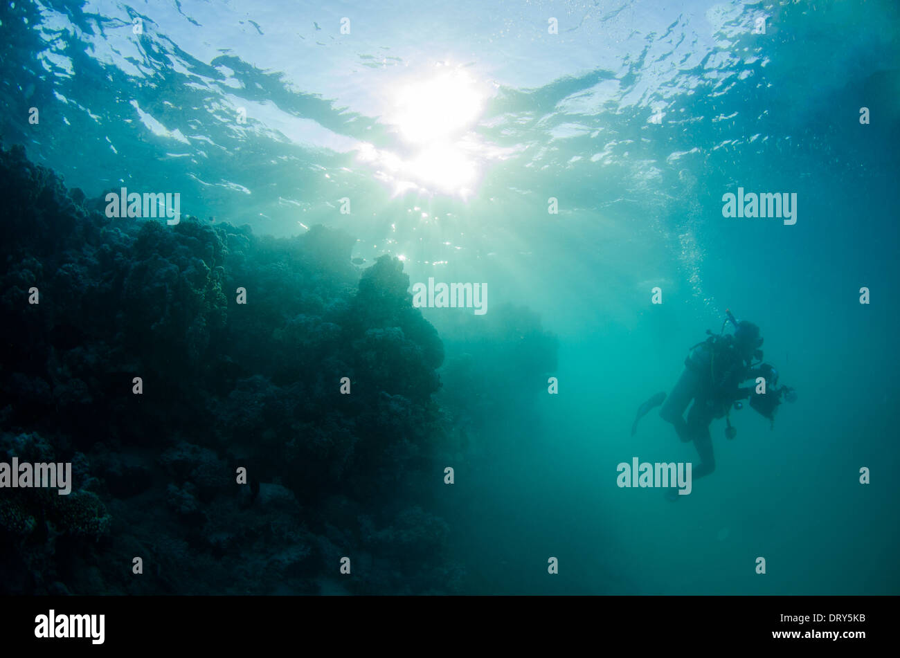Diver red sea hi-res stock photography and images - Alamy