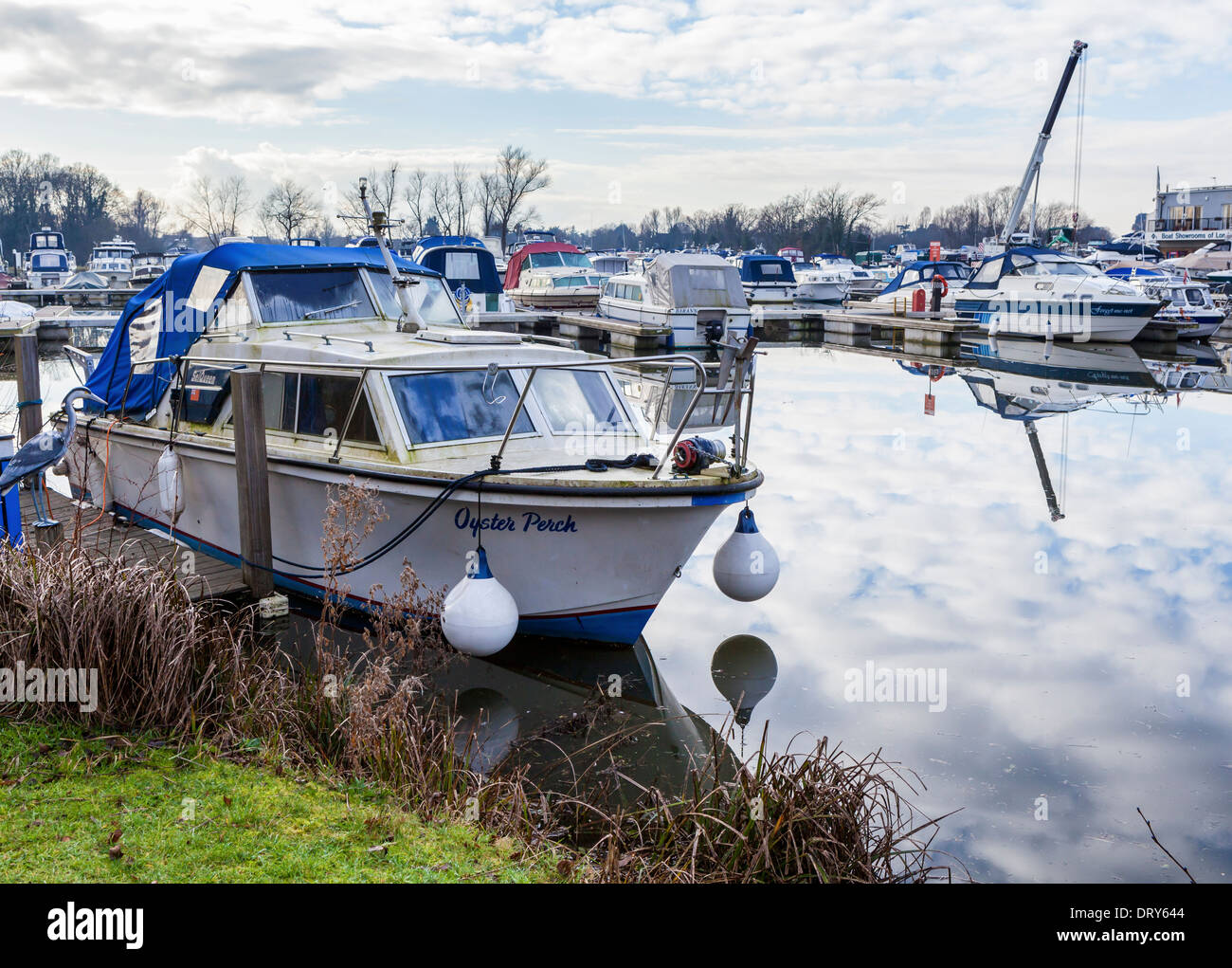 Shepperton middlesex hi-res stock photography and images - Alamy