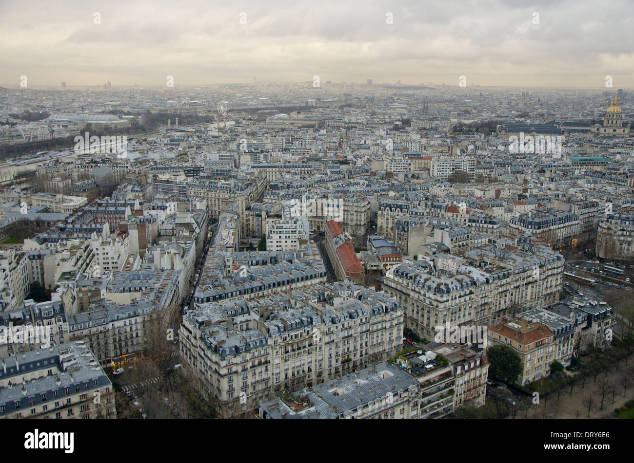 Birds in the streets hi-res stock photography and images - Alamy