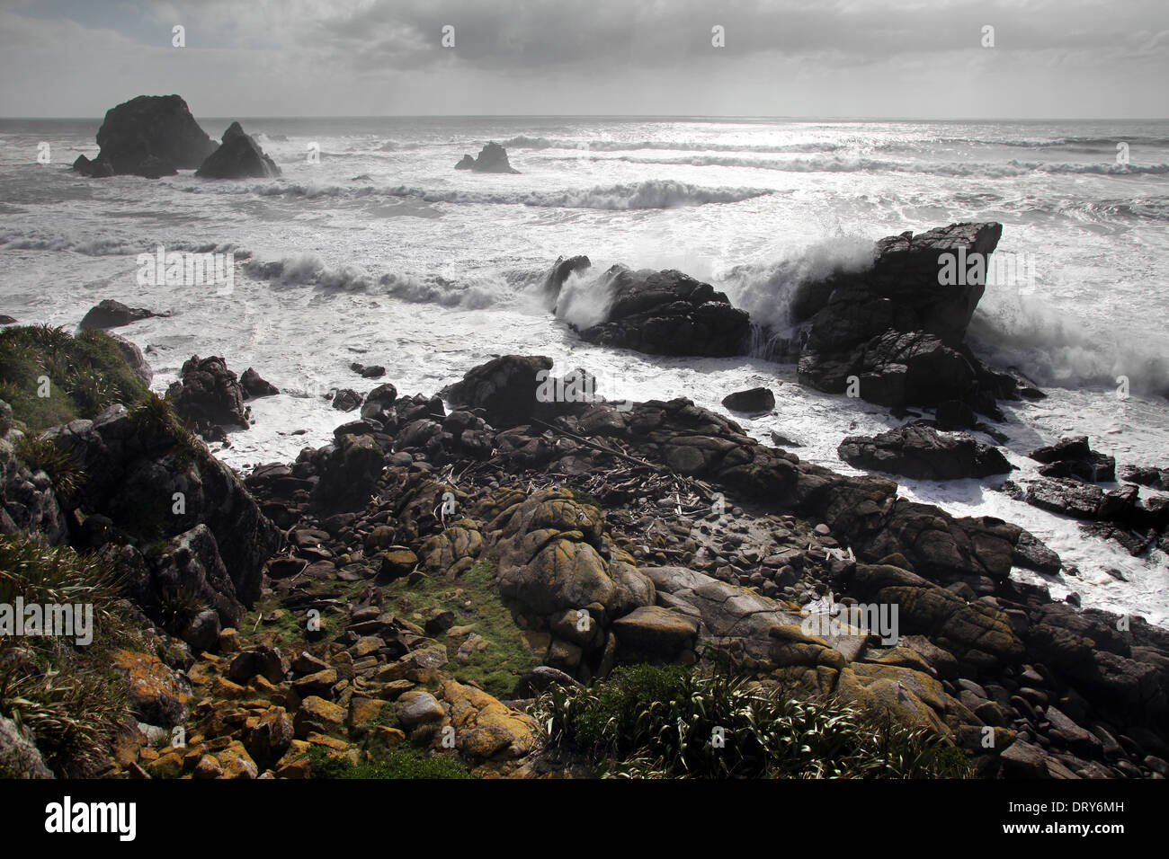 Spectacular seas around the seal colony near Charleston, West Coast ...
