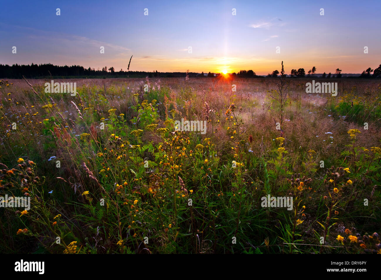 Summer sunset landscape hi-res stock photography and images - Alamy