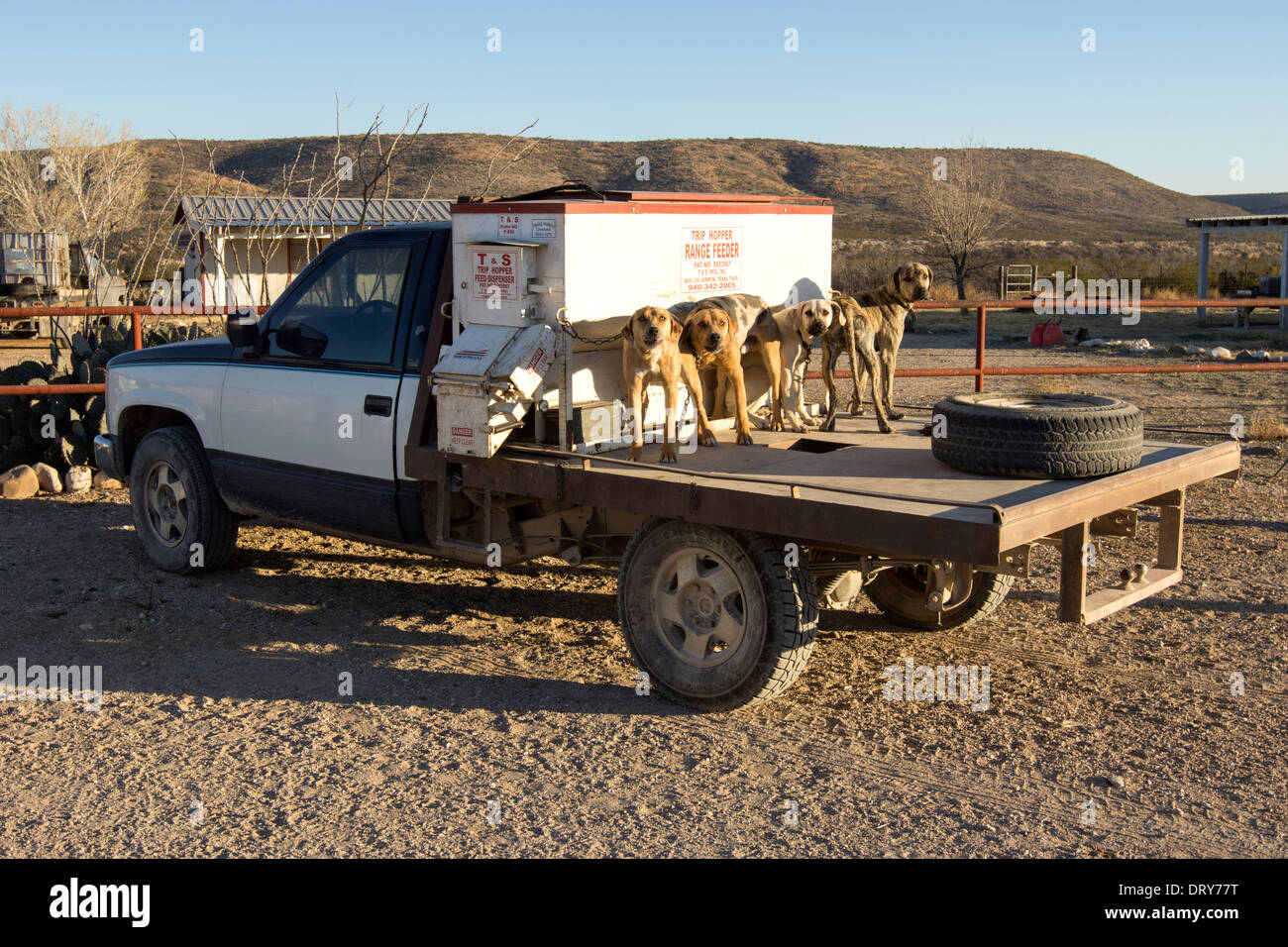 Ranch work hi-res stock photography and images - Alamy
