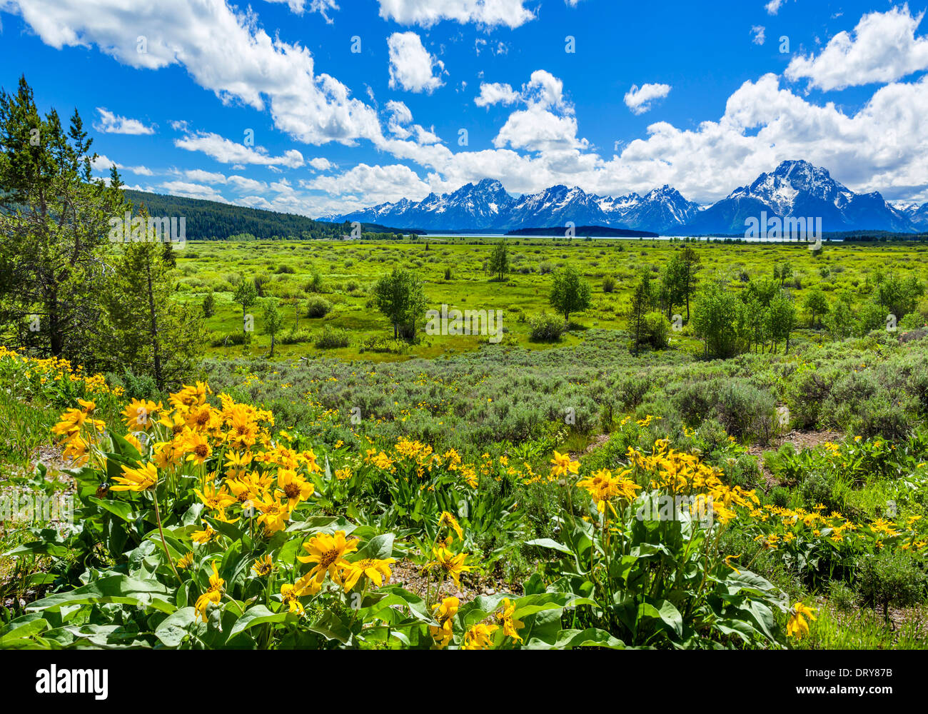 Grand Tetons from Rockefeller Parkway near Jackson Lake Lodge, Grand ...