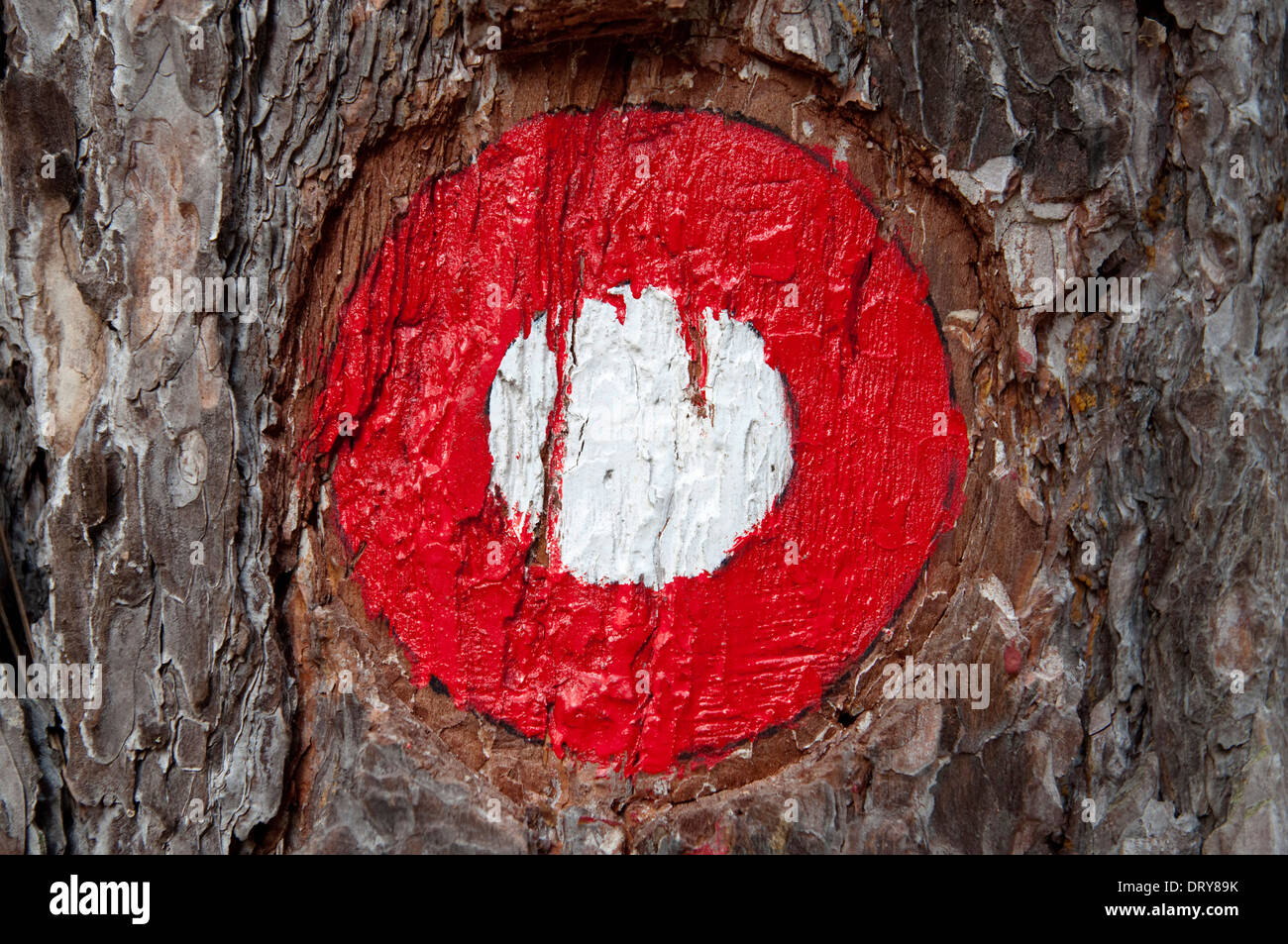 hiking sign, which is drawn on the tree Stock Photo - Alamy