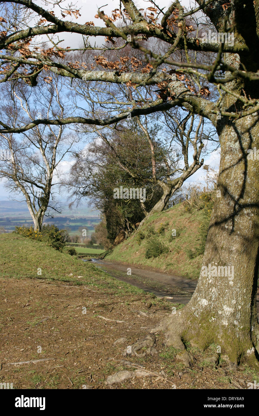 Kerry ridgeway hi-res stock photography and images - Alamy