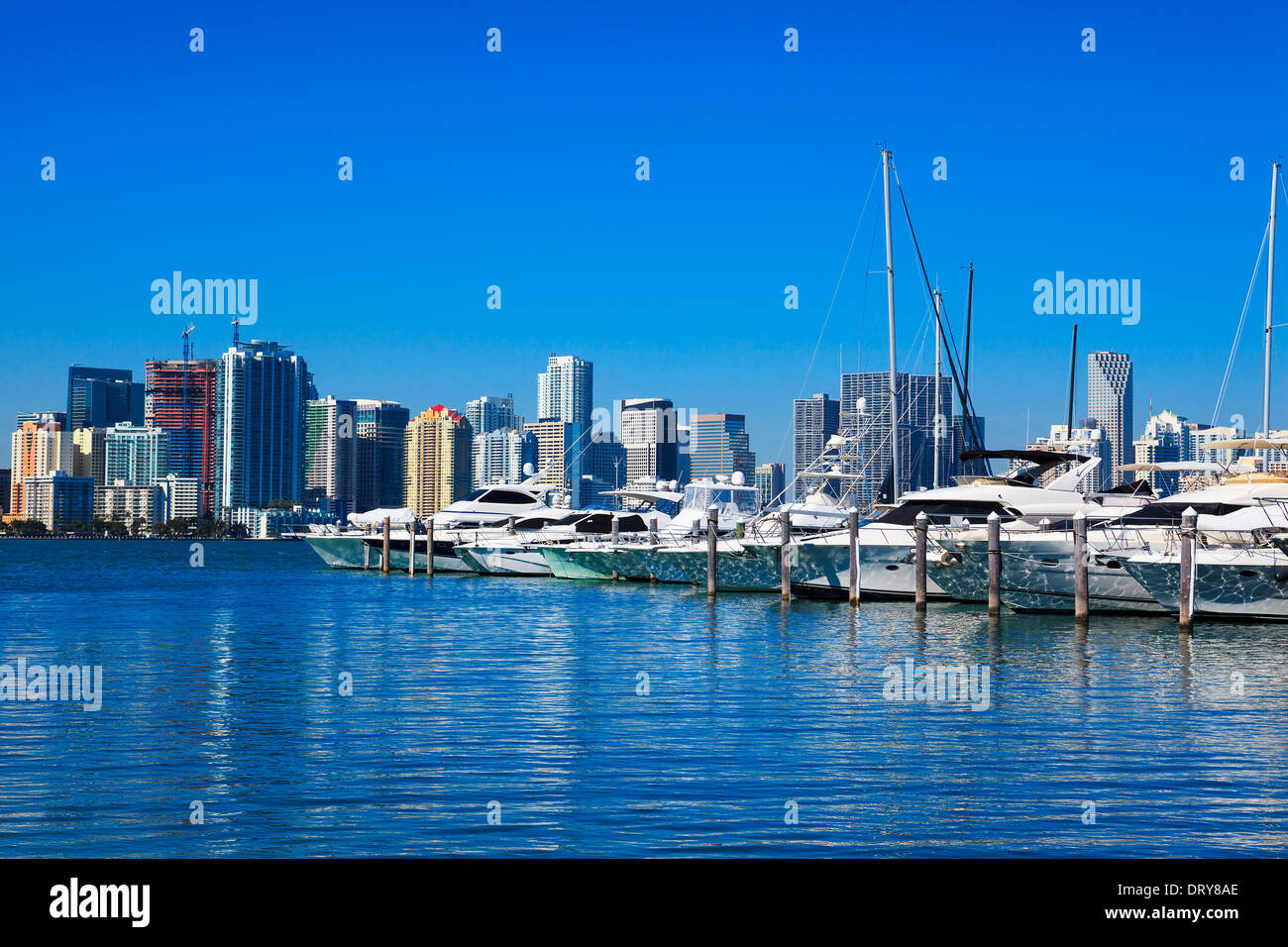 Downtown Miami with blue sky, Florida Stock Photo - Alamy