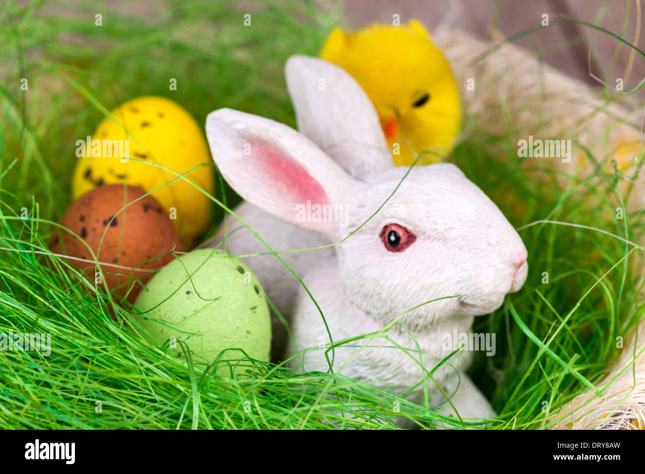 Easter Bunny And Eggs Stock Photo - Alamy