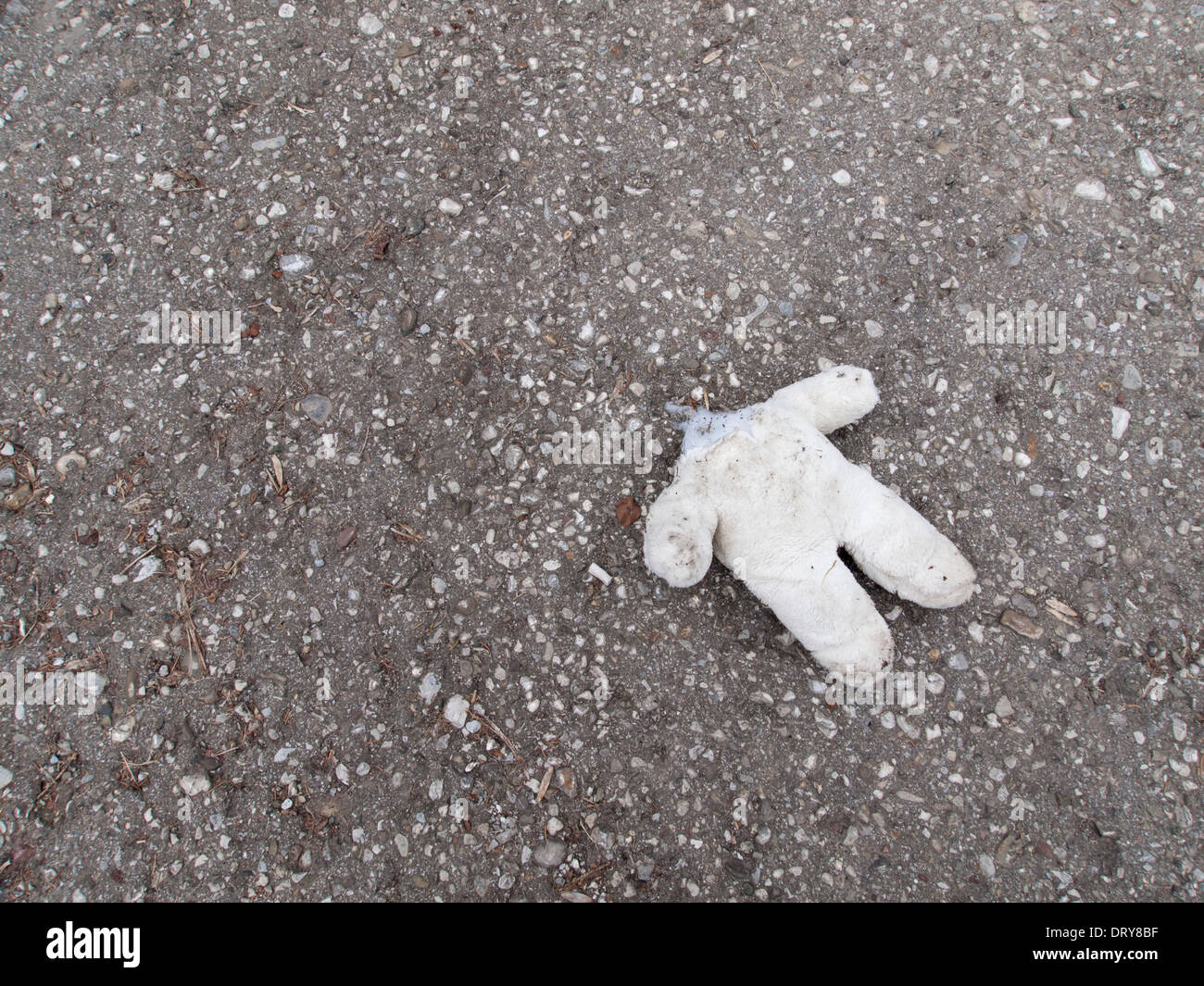 Headless Teddy-Bear abandoned on a parking lot Stock Photo - Alamy