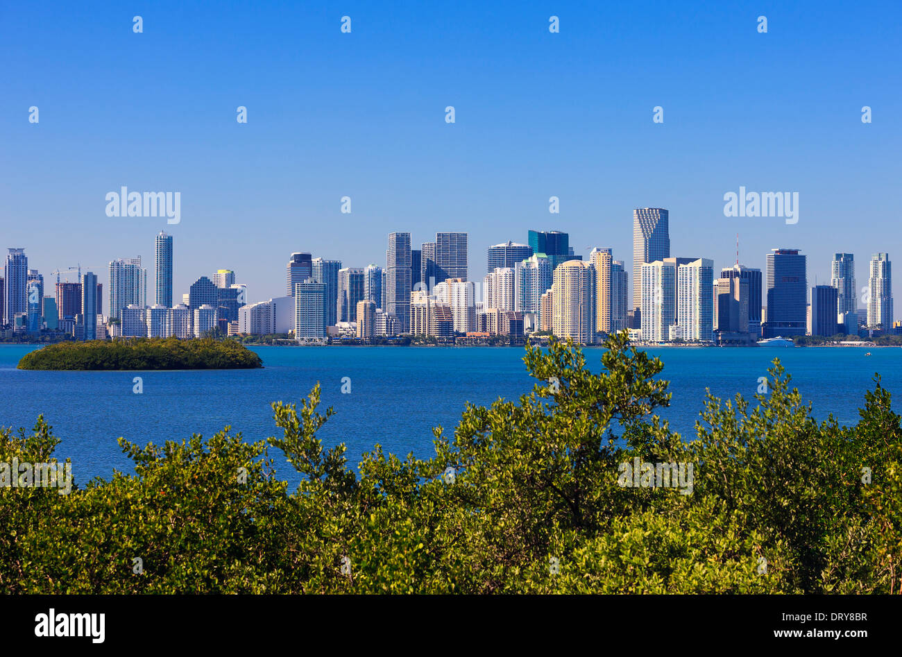 Famous view Miami Florida, USA Stock Photo - Alamy