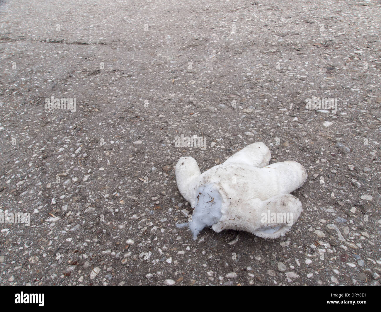 Headless Teddy-Bear abandoned on a parking lot Stock Photo - Alamy