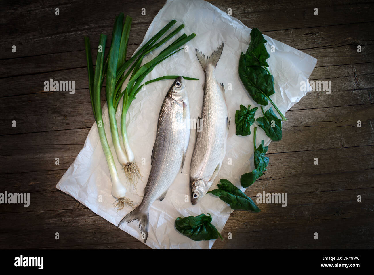 Whitefish catch hi-res stock photography and images - Alamy
