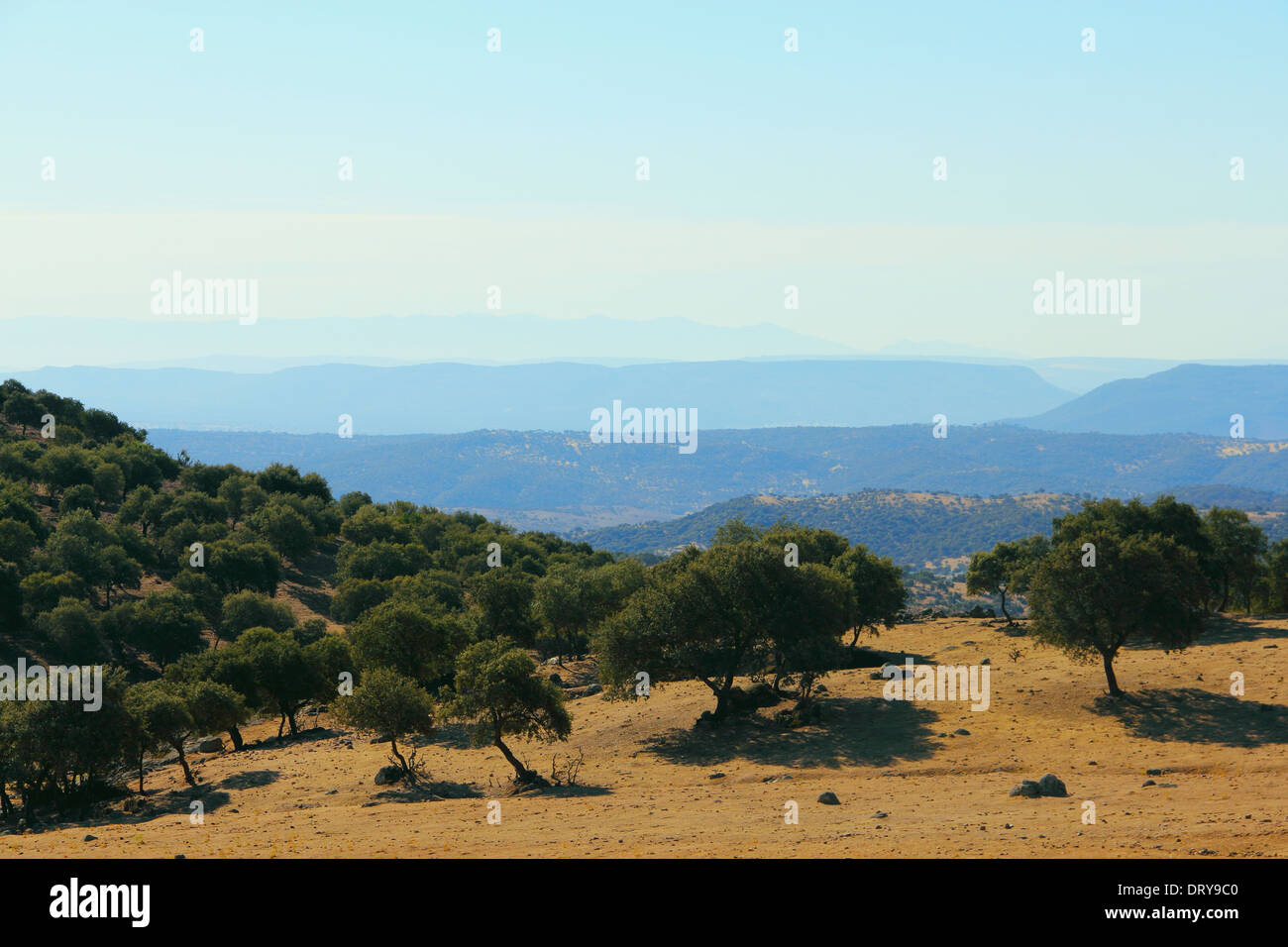 Spanish landscape with mountains fields and trees Stock Photo - Alamy