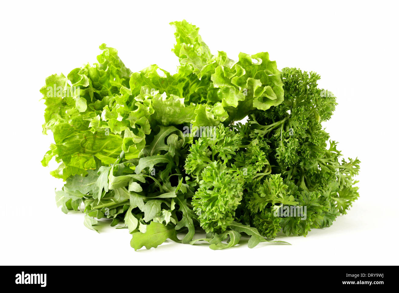 fresh green herbs mix on a white background Stock Photo - Alamy