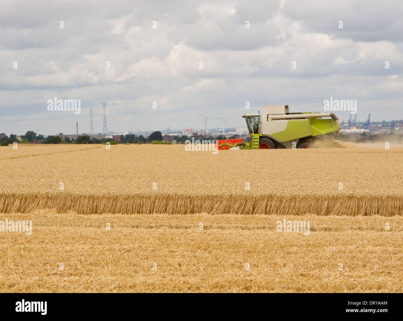 An image showing a Wheat field being harvested of its crops Stock Photo ...