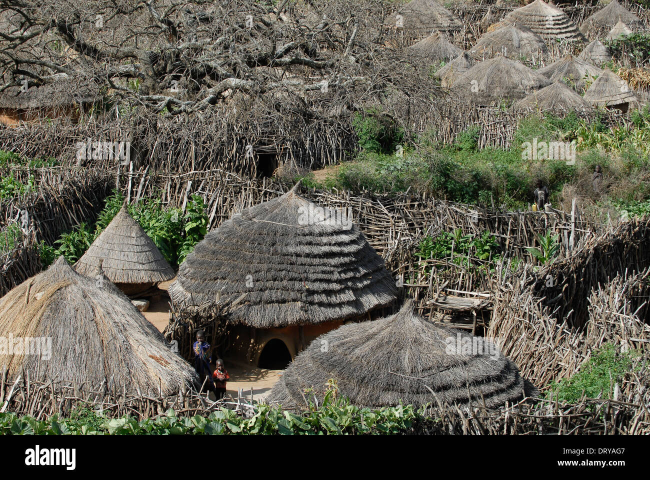 UGANDA Karamoja, village Nakapelimoru of Jhi tribe of Karimojong a ...